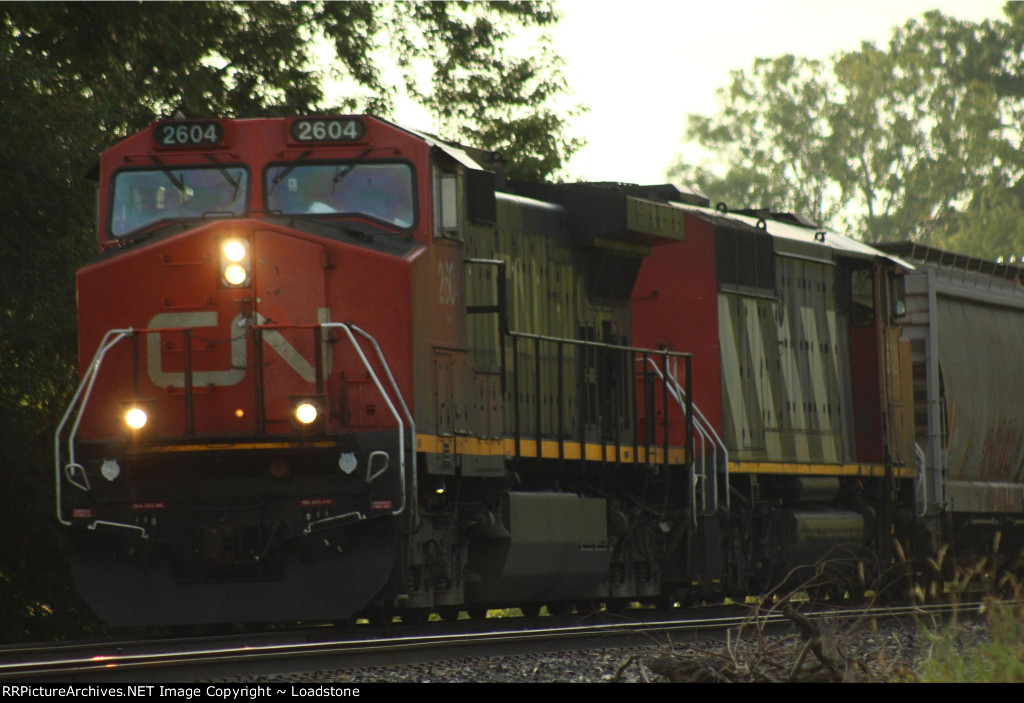 CN 2604 CN 5526